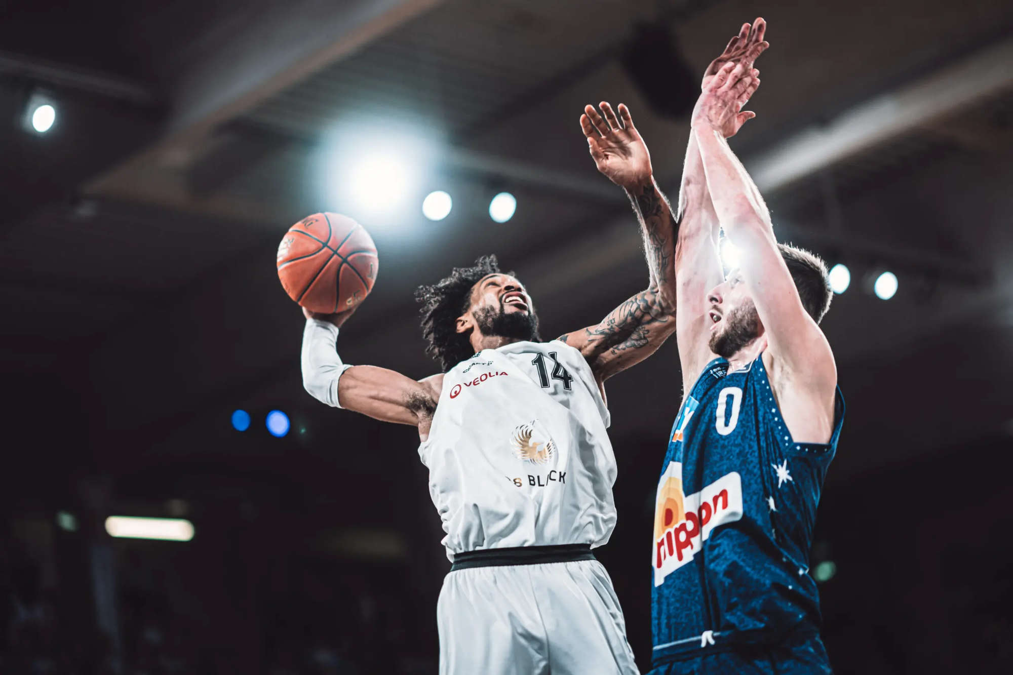 Inselpark Arena Hamburg